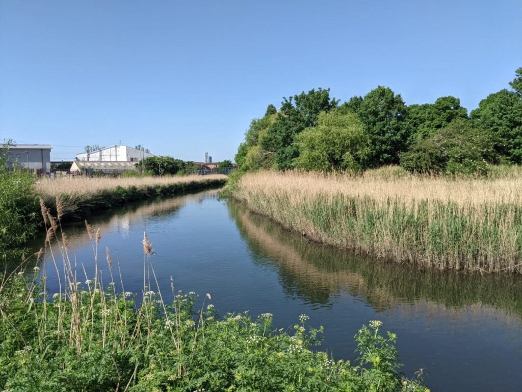 Project begins outfall-by-outfall monitoring in real-time on River ...